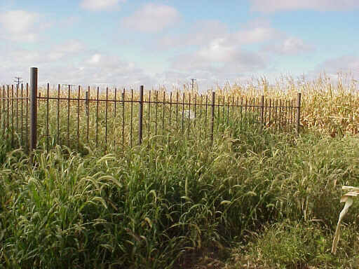 NEGenWeb Project: Gosper County, Nebraska; Gosper County Cemeteries ...